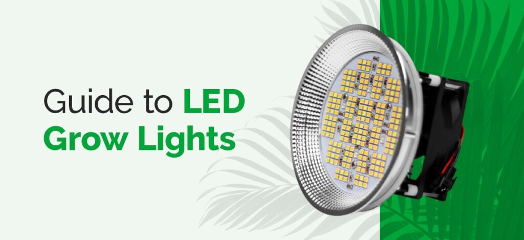 Learn About Grow Lights | HTG Supply Hydroponics & Grow Lights