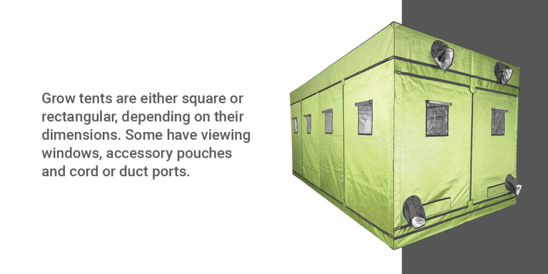 HOW TO CHOOSE THE RIGHT GROW TENT SIZE | HTG Supply Hydroponics & Grow ...